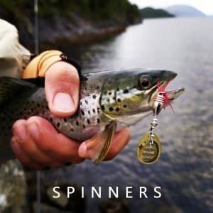 Spinner de de Pesca